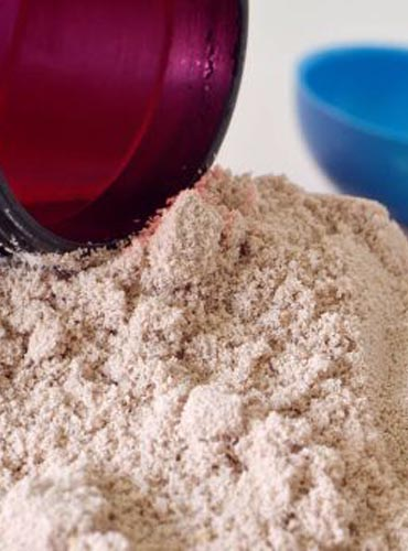 Shark Cartilage Powder – Hansyoung